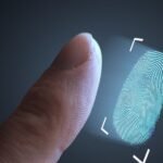 Fingerprint Similarity: Human, Koala and Chimpanzee - Hawk Eye Forensic ...